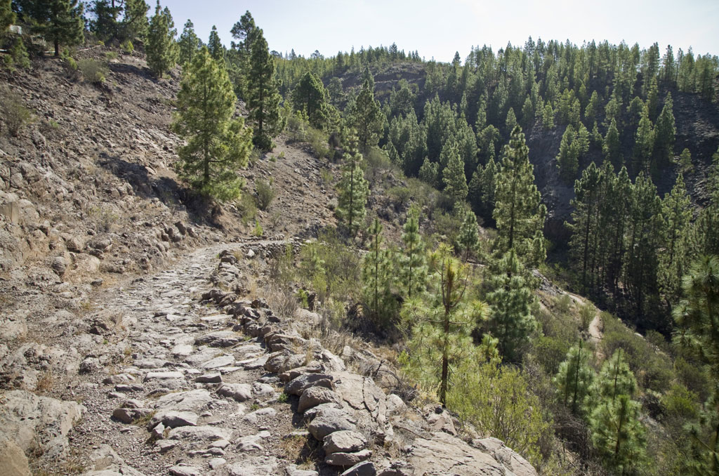 Sentier du paysage lunaire depuis Vilaflor de Chasna | Tenerife